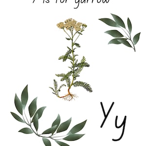 Nature Themed Alphabet Posters & Flash Cards - Etsy