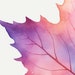 Clipart Maple Leaf, Autumn, Colorful, Watercolor, Hi-res JPEG - Etsy