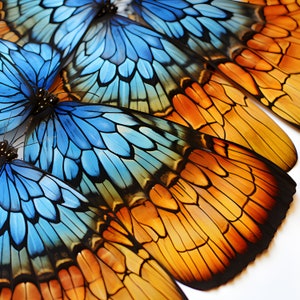 Clipart Butterfly Wings, Close Up, Abstract, Watercolor, 3 Hi-res JPEG ...