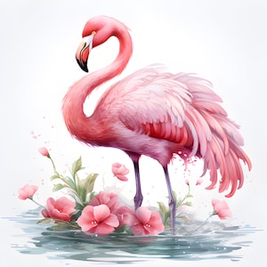 Clipart Pink Flamingo, Beautiful, Watercolor, 3 Hi-res JPEG - Etsy