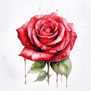 Clipart Rose Water Drops 3 JPEG - Etsy