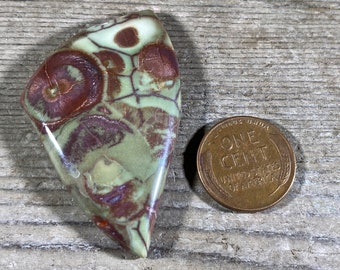 Spiderweb Rhyolite - Etsy