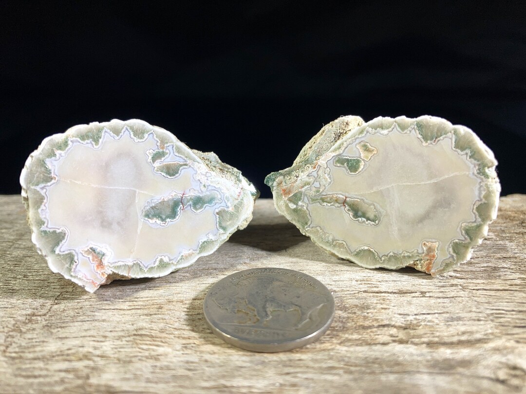 Lily Pad Jasper Geode Polished Specimen - Etsy