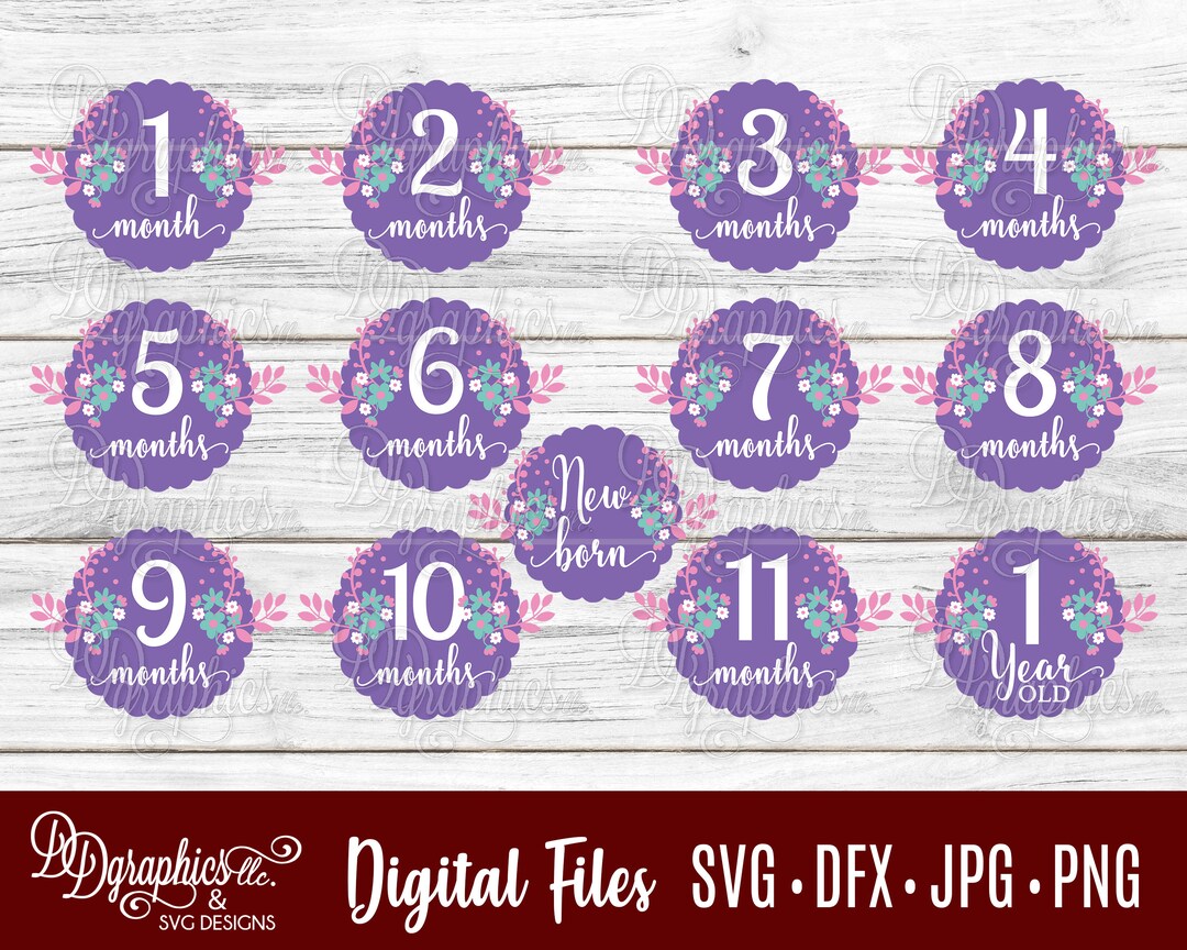 Baby Month Milestones SVG/ Birth Thru One Year Old/ Month - Etsy