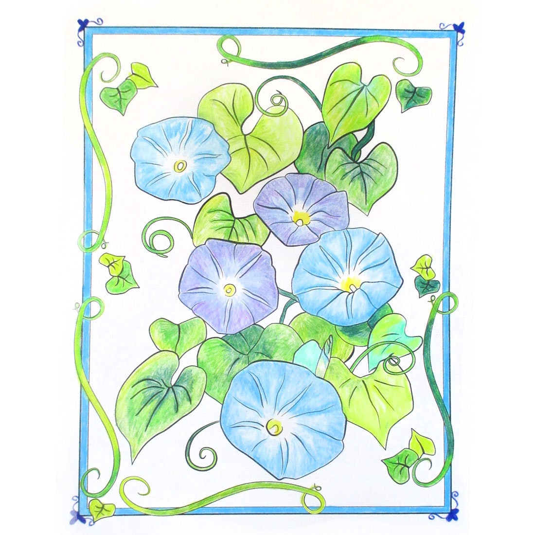 Morning Glories Coloring Page - Etsy