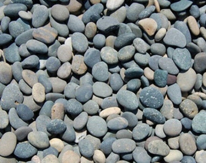 Oval Shaped Beach Rocks Sea Stones Oval Pebbles Bulk 100 Pcs SMALL - Etsy