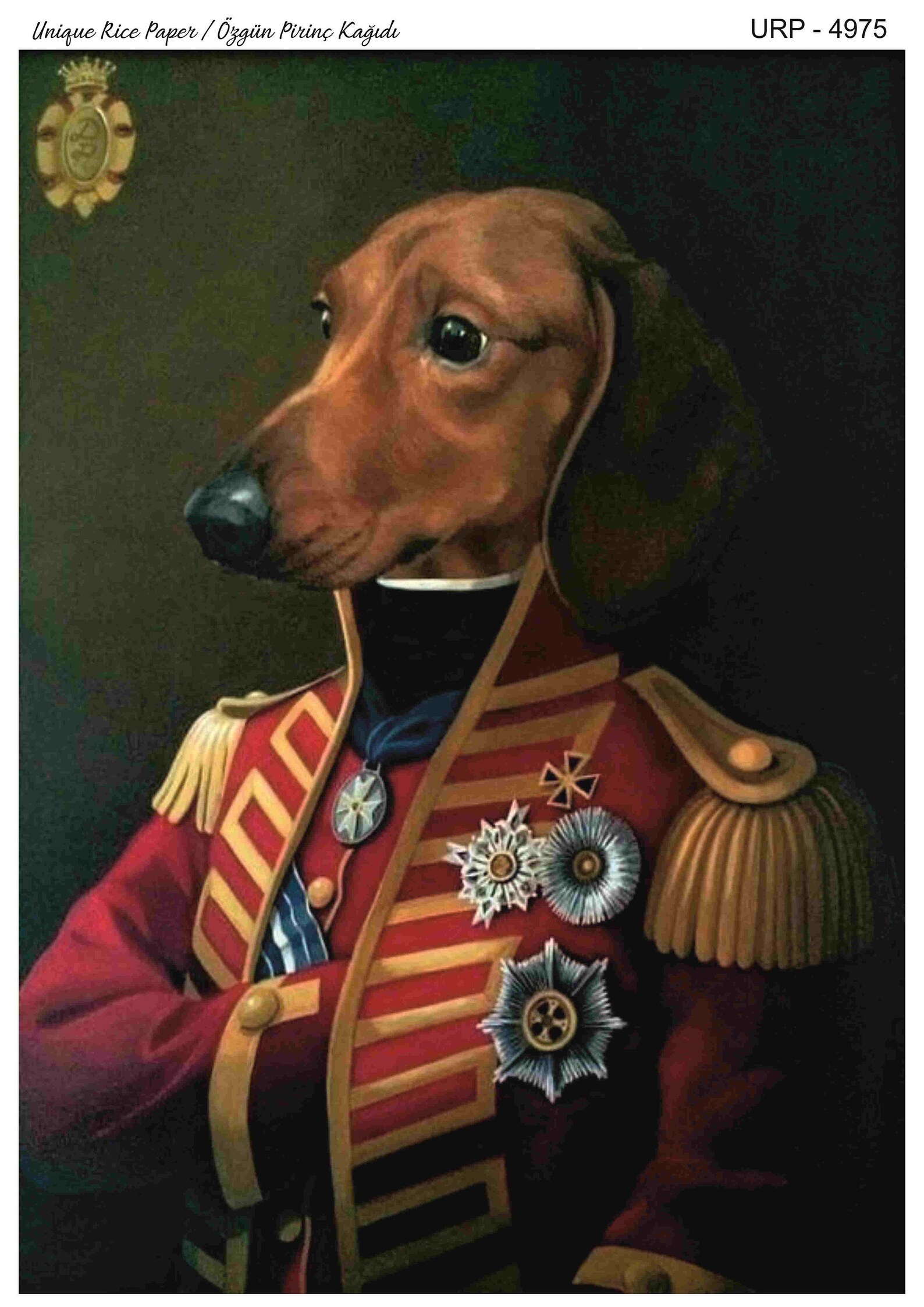 Dog General Sticky Rice Paper for Decoupage: Animals Pattern - Etsy