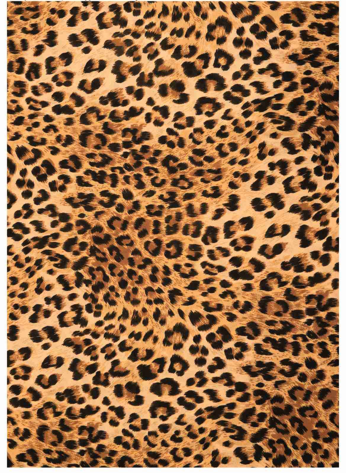 Prints Digital Prints A3 Cheetah Print etna.com.pe