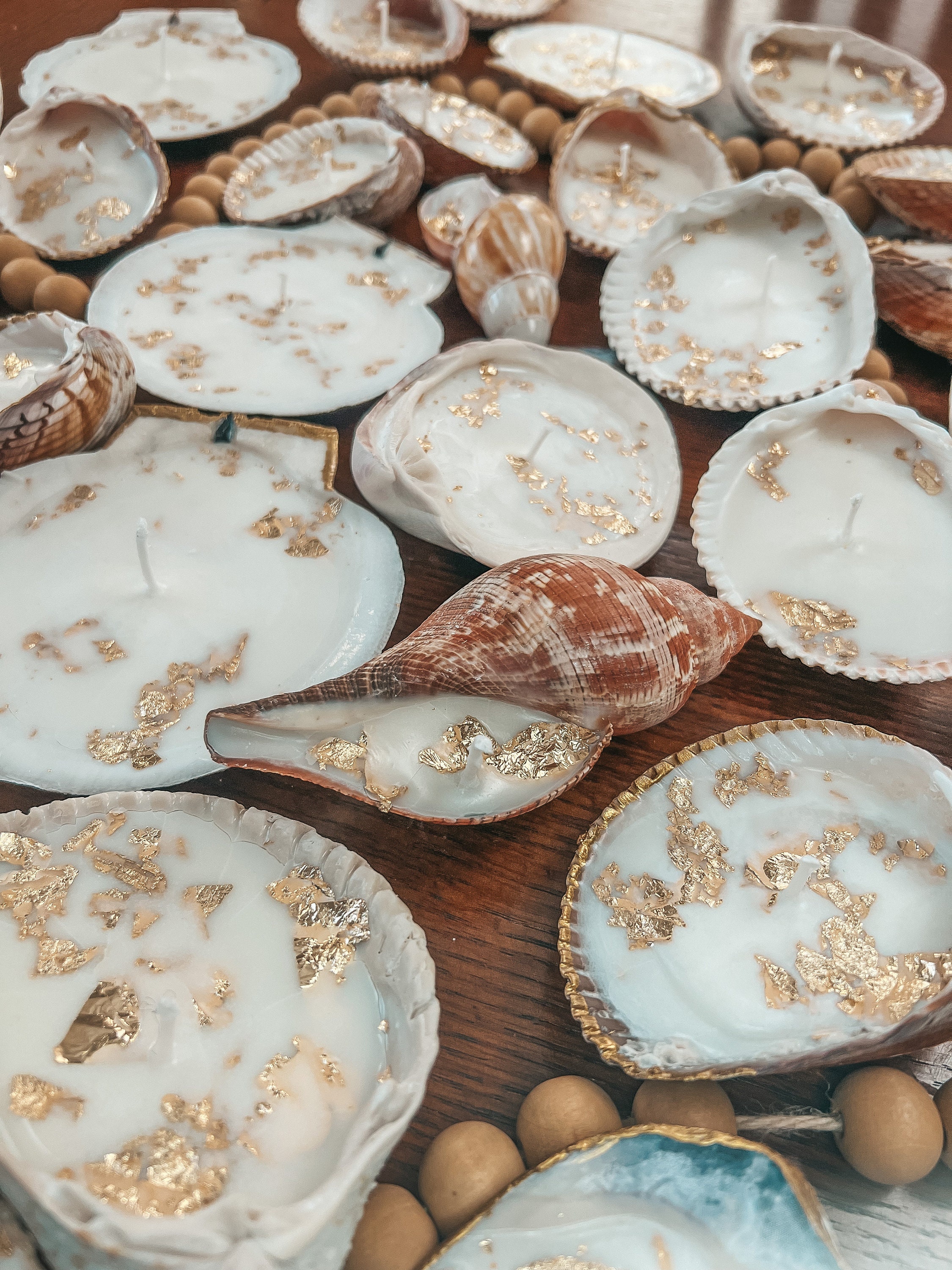 Shell Candles Oyster, Scallop, Clam, Heart Cockle, Conch Shell Organic ...