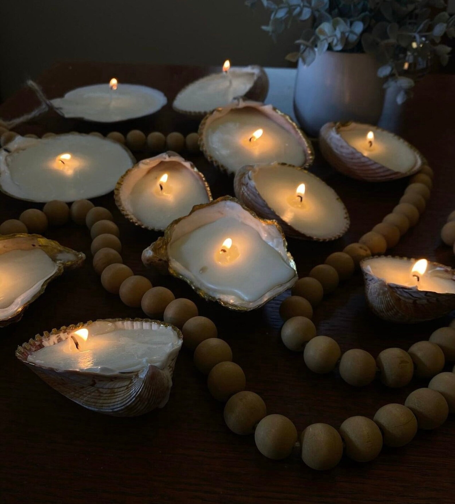 Shell Candles Oyster, Scallop, Clam, Heart Cockle, Conch Shell Organic ...