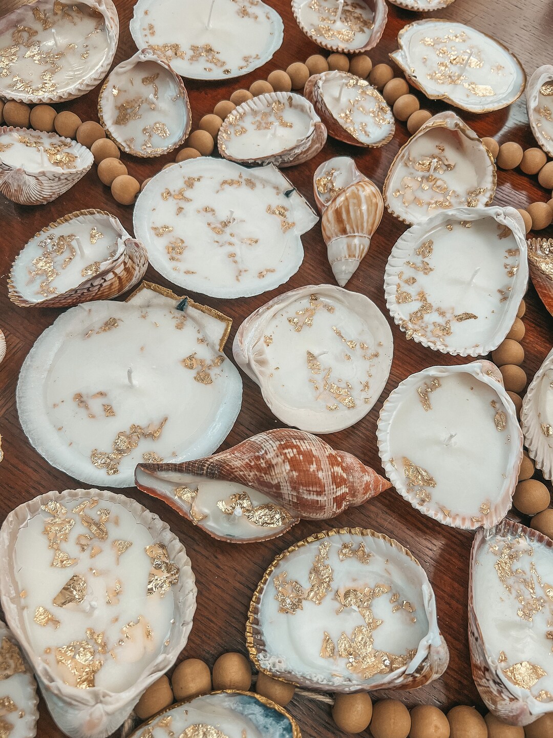 Shell Candles Oyster, Scallop, Clam, Heart Cockle, Conch Shell Organic ...