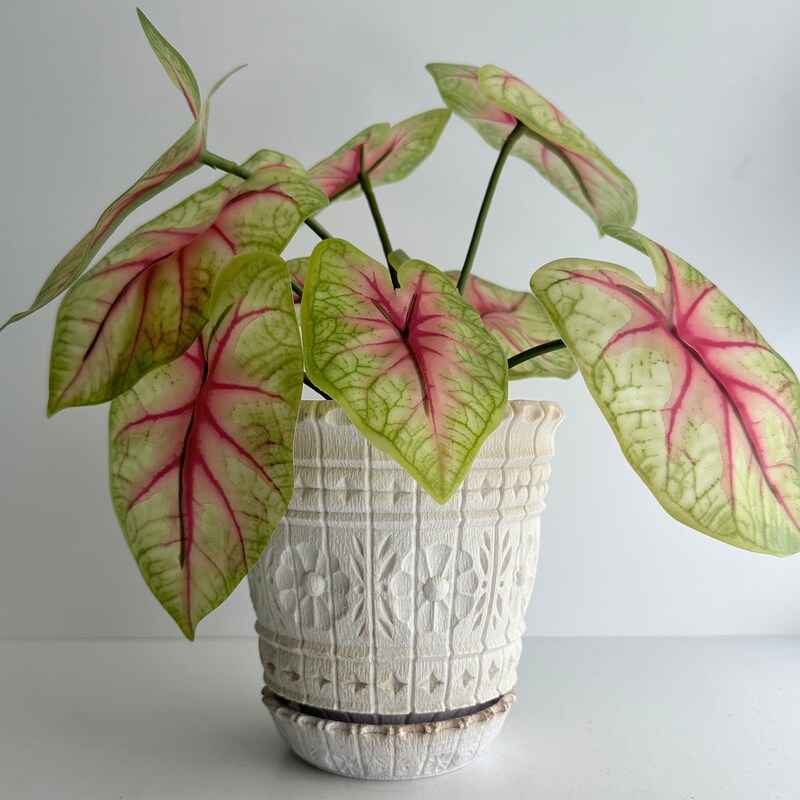 Lawnware - Etsy