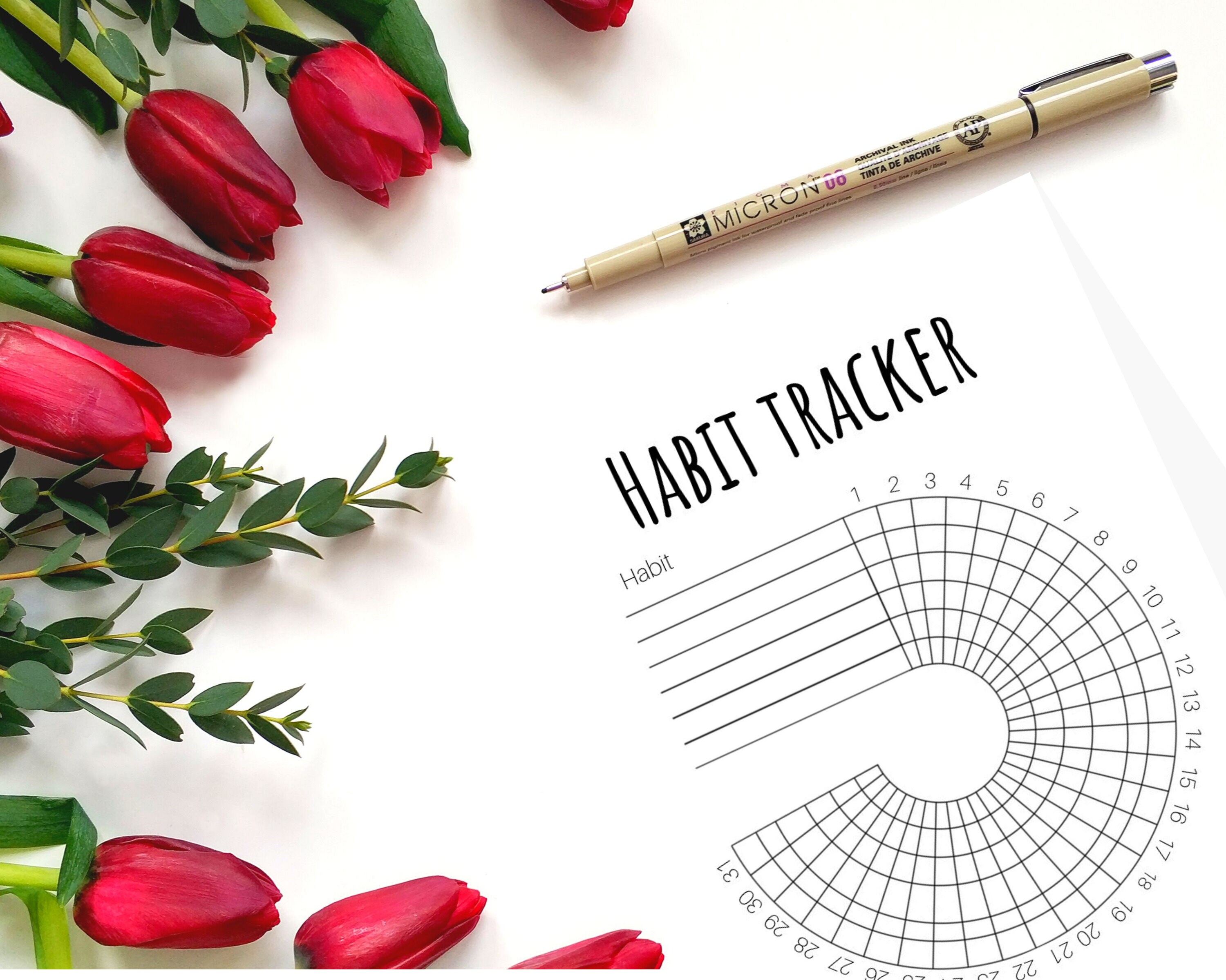 Circular Habit Tracker, Round Monthly Habit Log, Printable Self ...