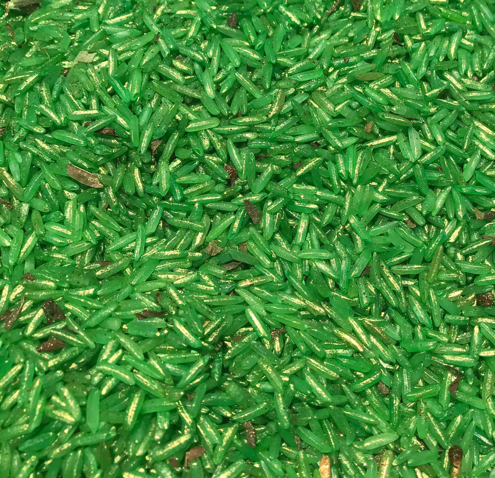 Money Rice Prosperity Rice Money Manifest - Etsy