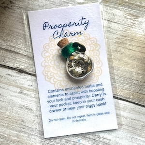 Lucky Money Charm | Prosperity Mojo | Sold Individually - Etsy