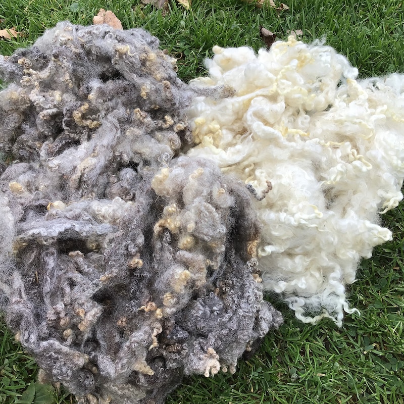 Wool Locks - Etsy