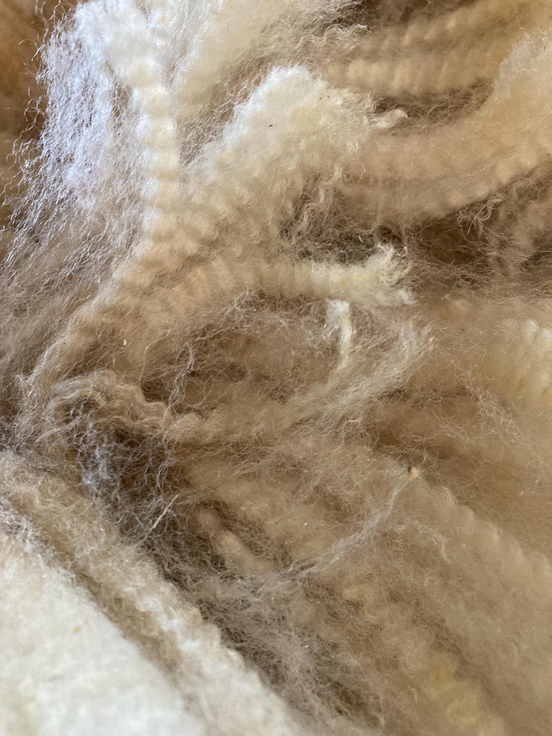 Raw Fleece - Etsy