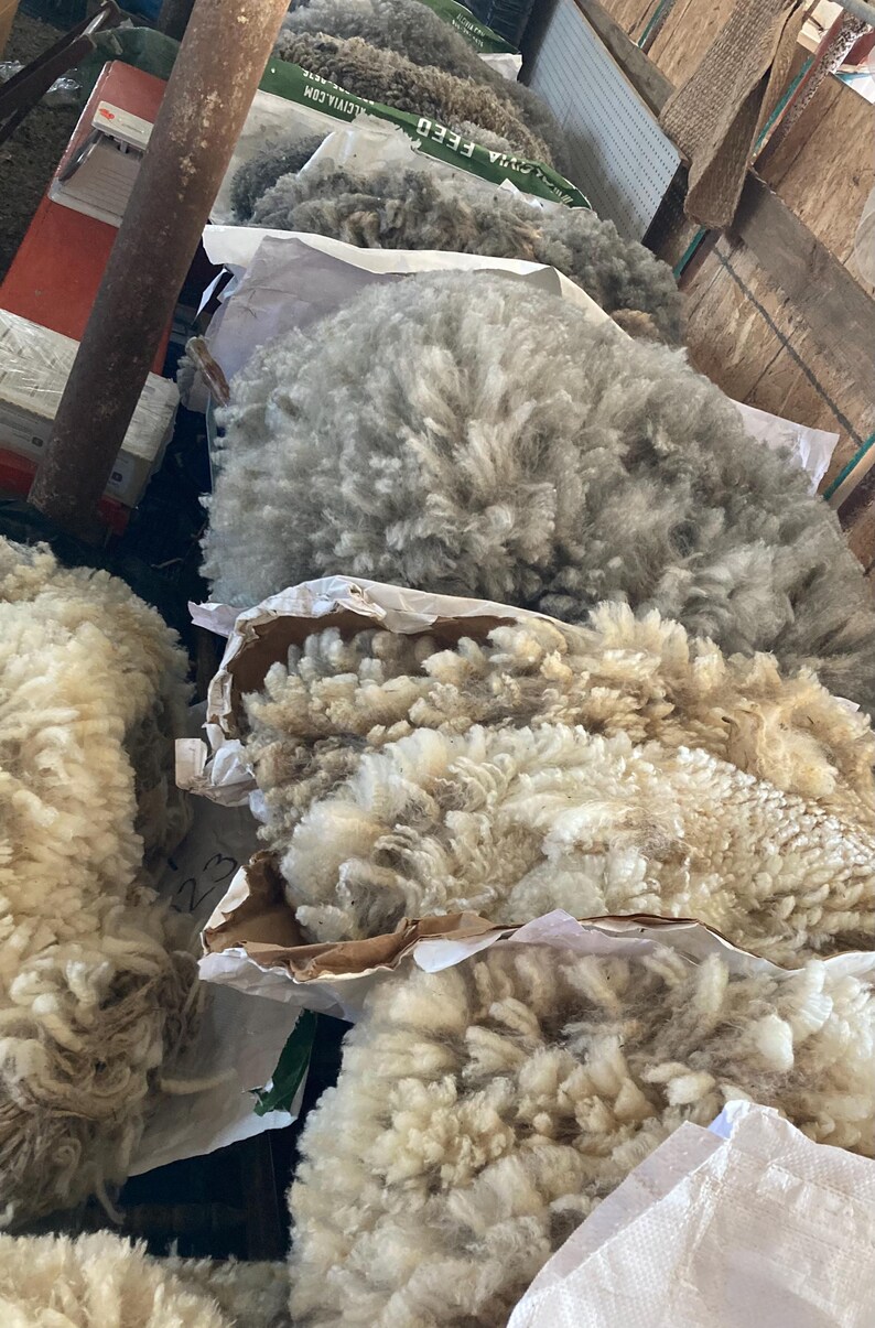 Raw Fleece - Etsy