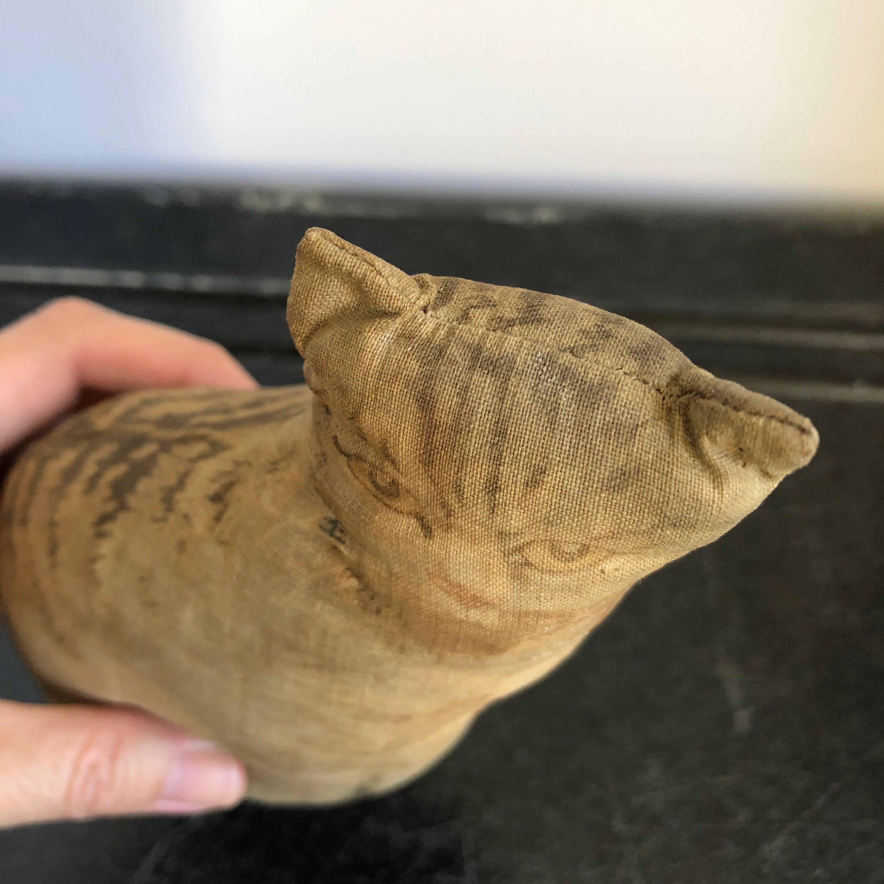 RARE! 1892 Genuine Arnold Print Works Primitive Stuffed Kitty Litho ...