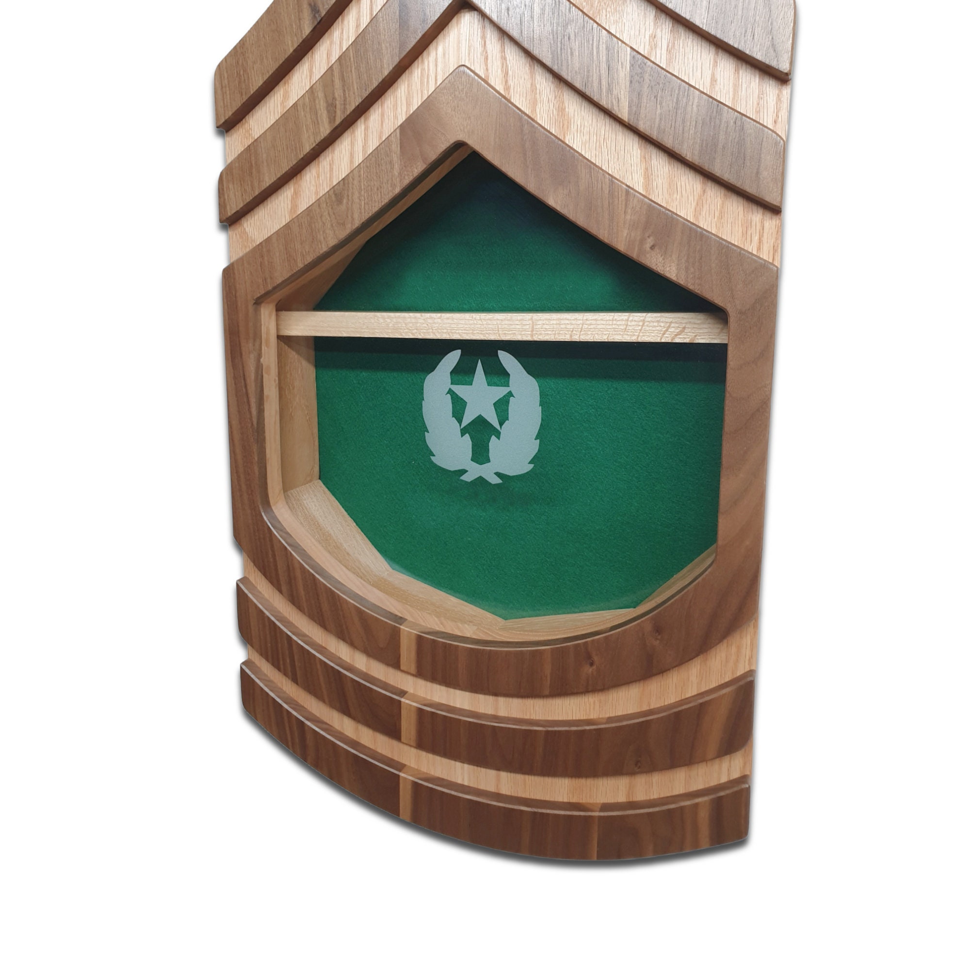 Army CSM E9, Command Sergeant Major, Military Retirement Shadow Box ...