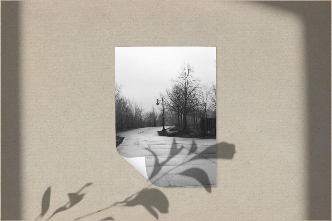 Pathways Poster Print: Black and White Print, Toronto Photography, Film ...