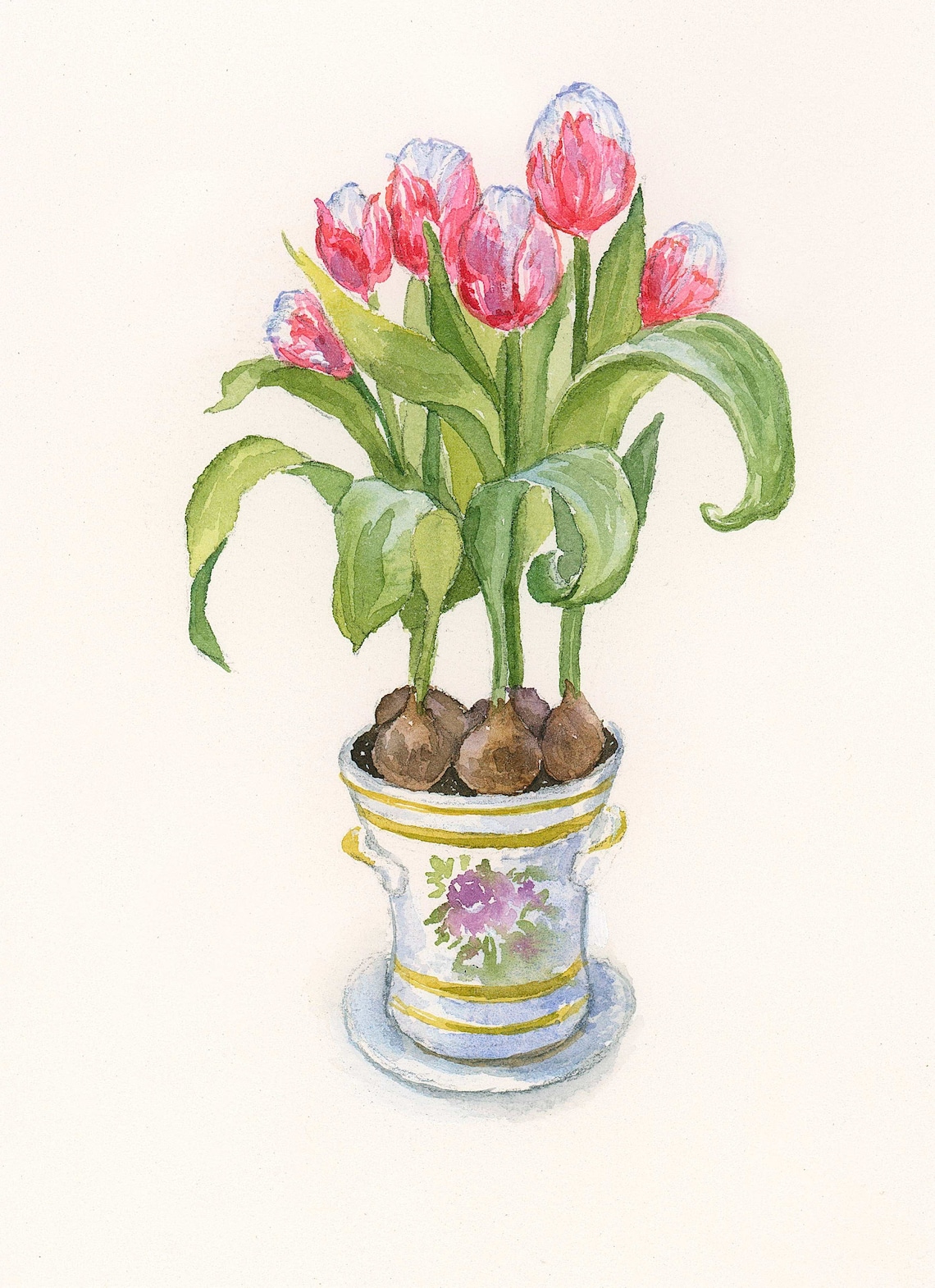 Tulips in Pot Original Watercolor, Pink Tulips Floral Arrangement in ...