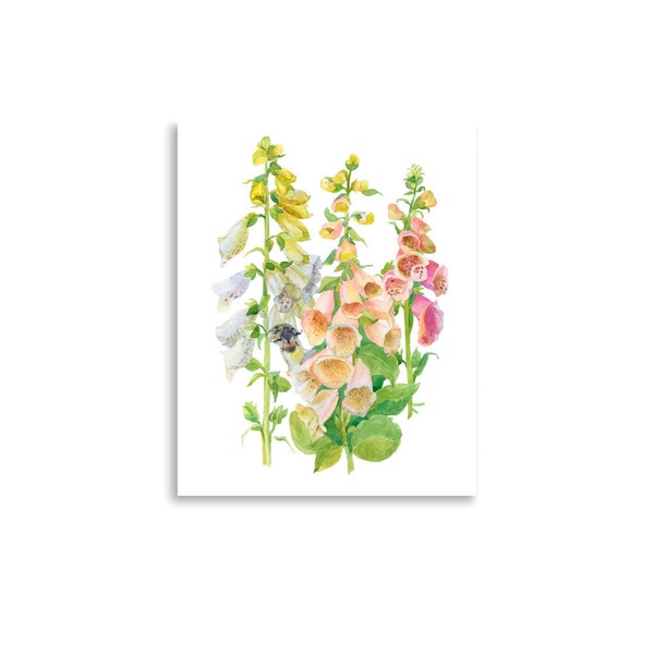 Foxglove Print - Etsy