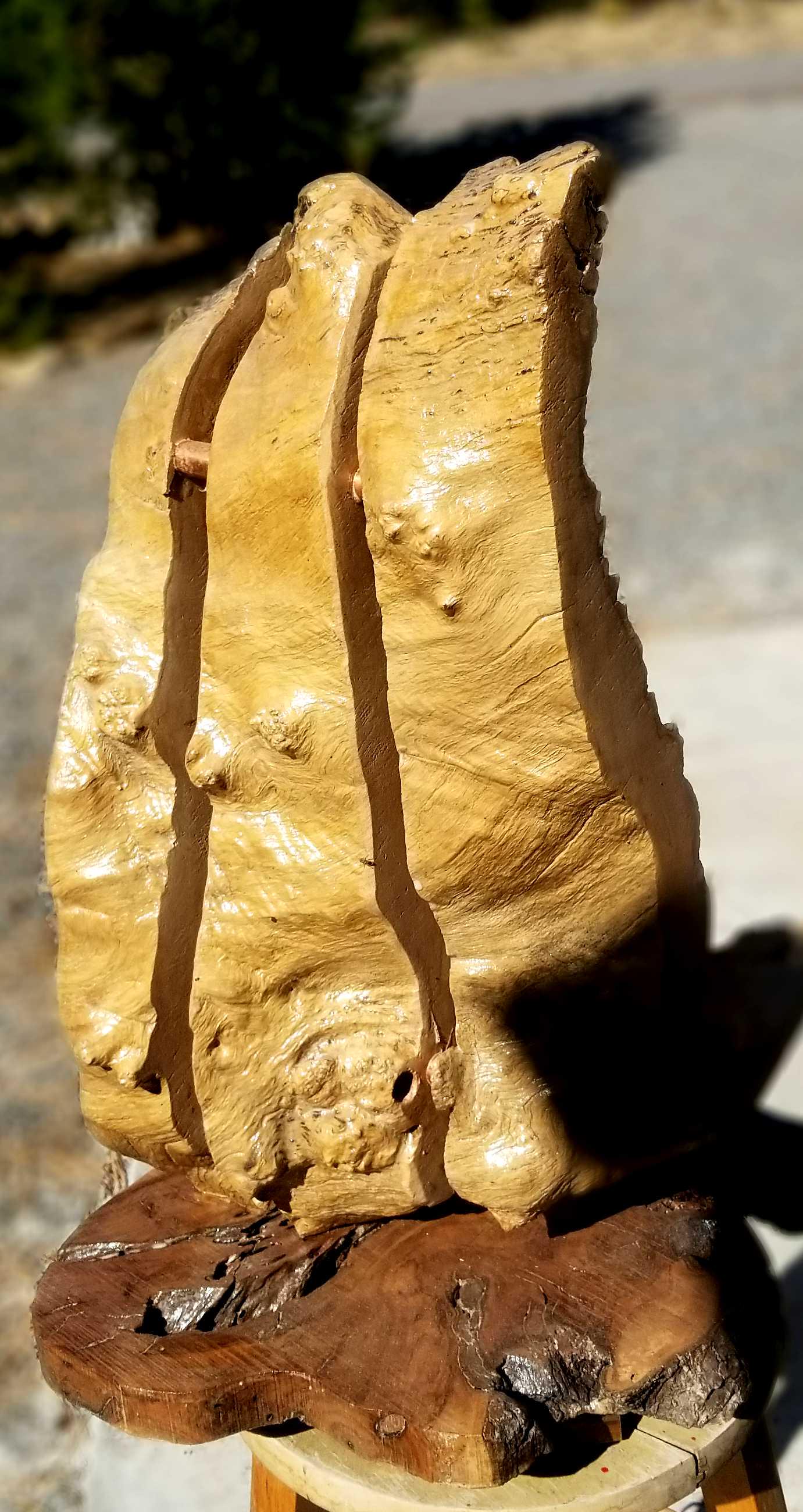 Rustic Bark Edged Table Lamp - Etsy