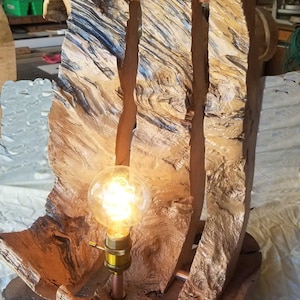 Rustic Bark Edged Table Lamp - Etsy