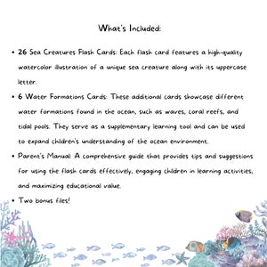 58 Sea Creatures Flash Cards Toddler Kindergarten 1st - Etsy