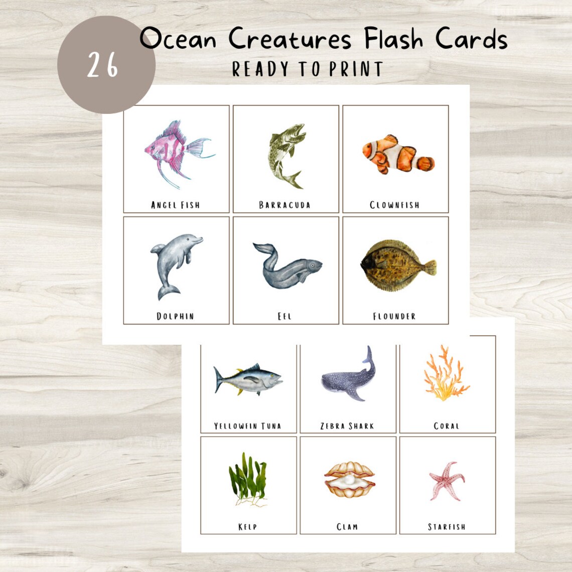 58 Sea Creatures Flash Cards Toddler Kindergarten 1st - Etsy