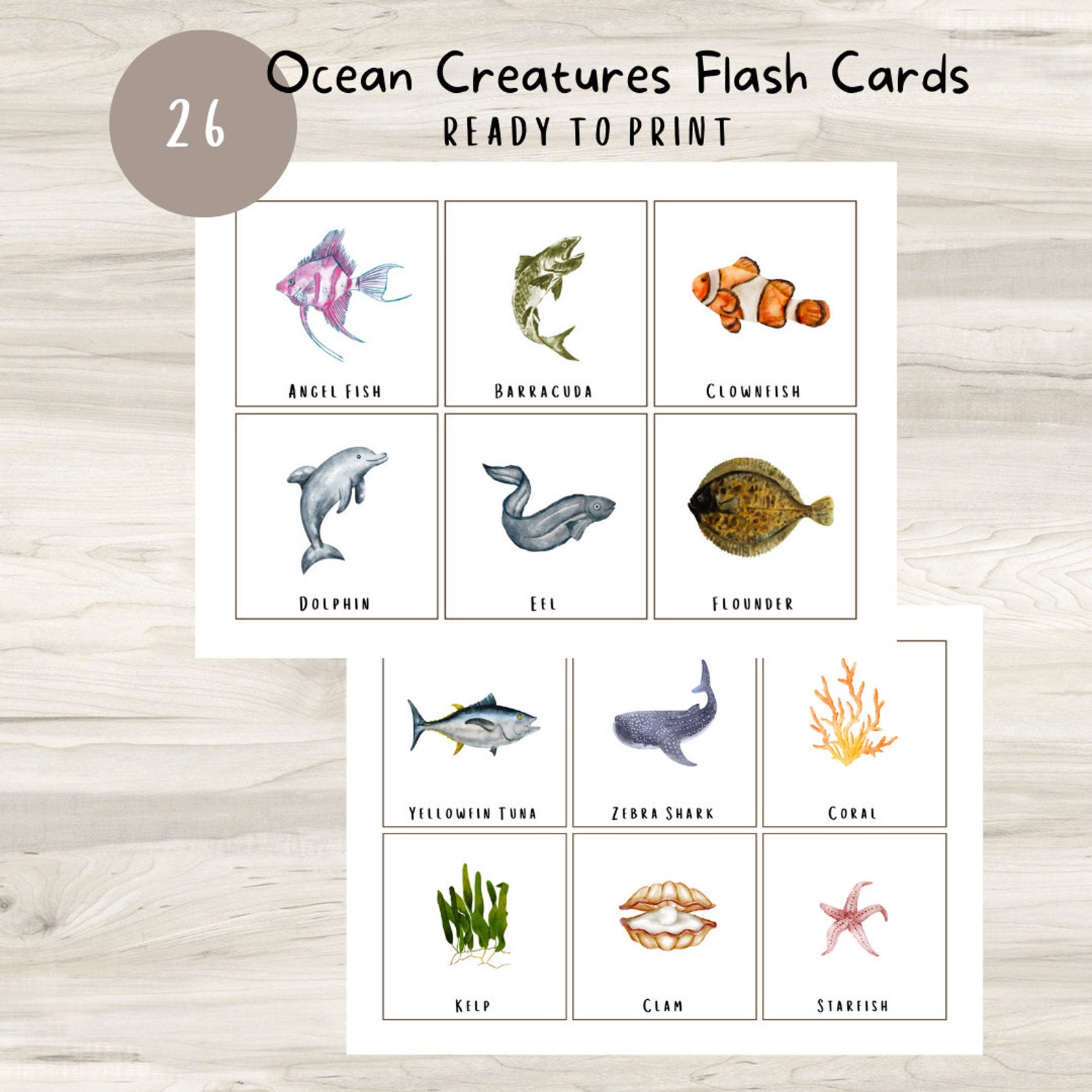 58 Sea Creatures Flash Cards Toddler Kindergarten 1st - Etsy