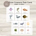 58 Sea Creatures Flash Cards Toddler Kindergarten 1st - Etsy