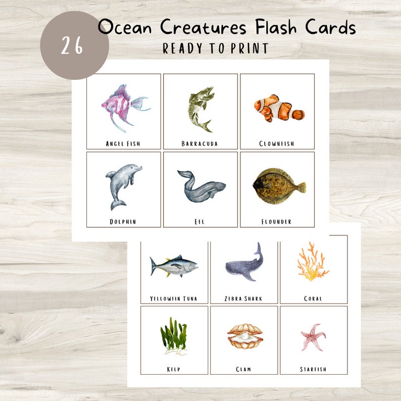 58 Sea Creatures Flash Cards Toddler Kindergarten 1st - Etsy