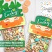 St. Patrick's Day Leprechaun Printable Treat Bag Topper, Leprechauns ...