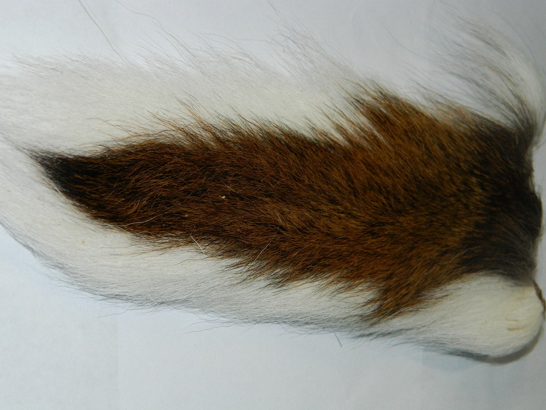 Dried #1 Quality L White Tail Deer Tail - Raw Fur White Tail Deer Tail ...