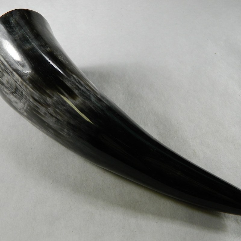 Bull Horn - Etsy