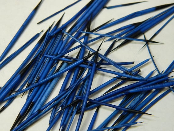 Porcupine Quill Craft