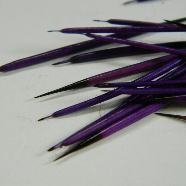 Porcupine Quillwork - Etsy