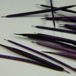 10/25 Purple Dyed North American Porcupine Quills - Craft Sized Real ...