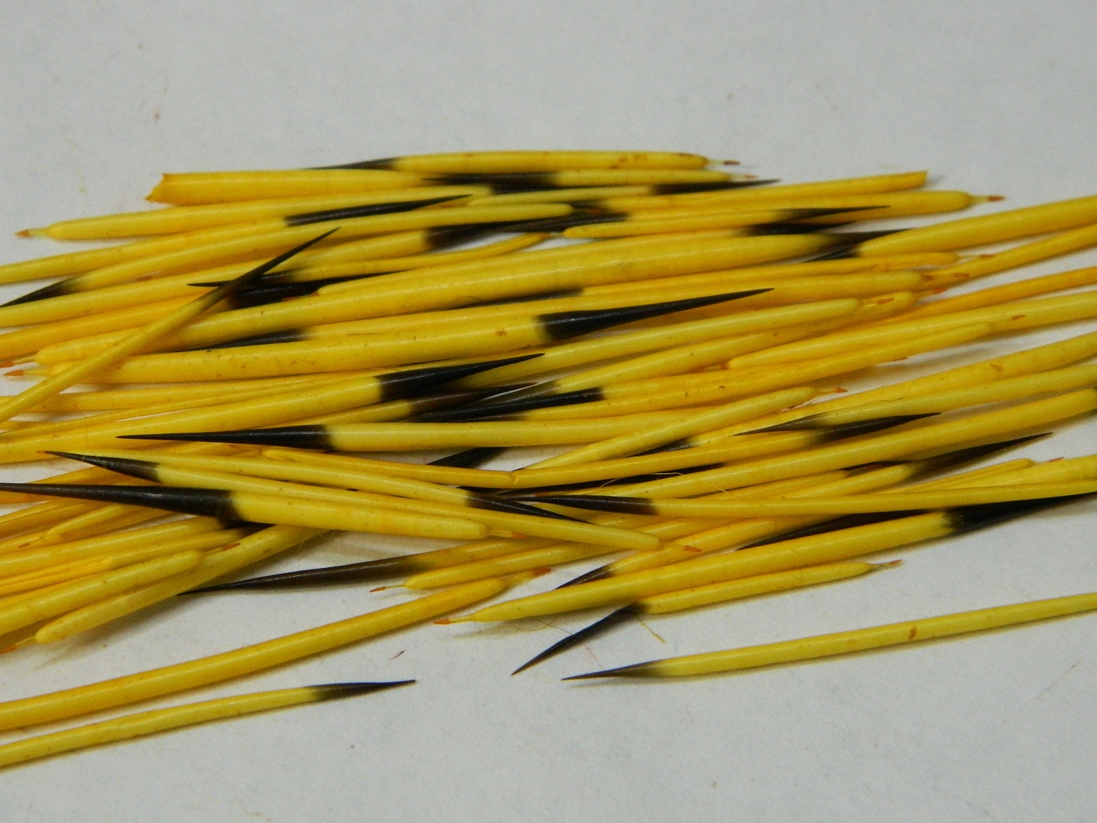 10/25 Yellow Dyed North American Porcupine Quills Craft - Etsy