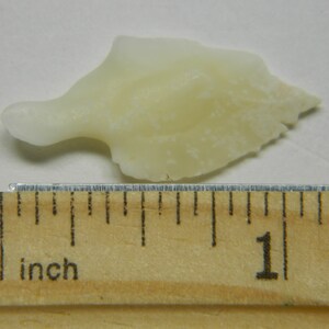 20 White (ivory Color) Alligator Gar Scales - Bony Crystalline Mineral ...