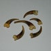1 L/XL Skunk Claw Professionally Cleaned - Skunk Claws; Jewelry Making ...