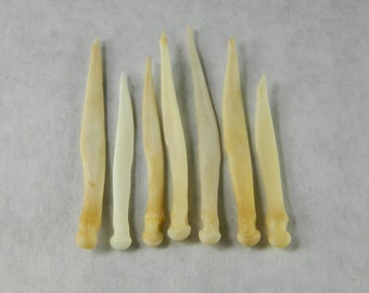 Whitetail Deer Cannon leg Bone - Etsy