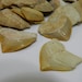 Ancient Fossilized Corax Shark Dinosaur Teeth Shark Teeth Fossil ...