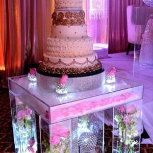 Acrylic Deluxe Cake Table / Game Table - Modular Top : Hand Crafted in ...