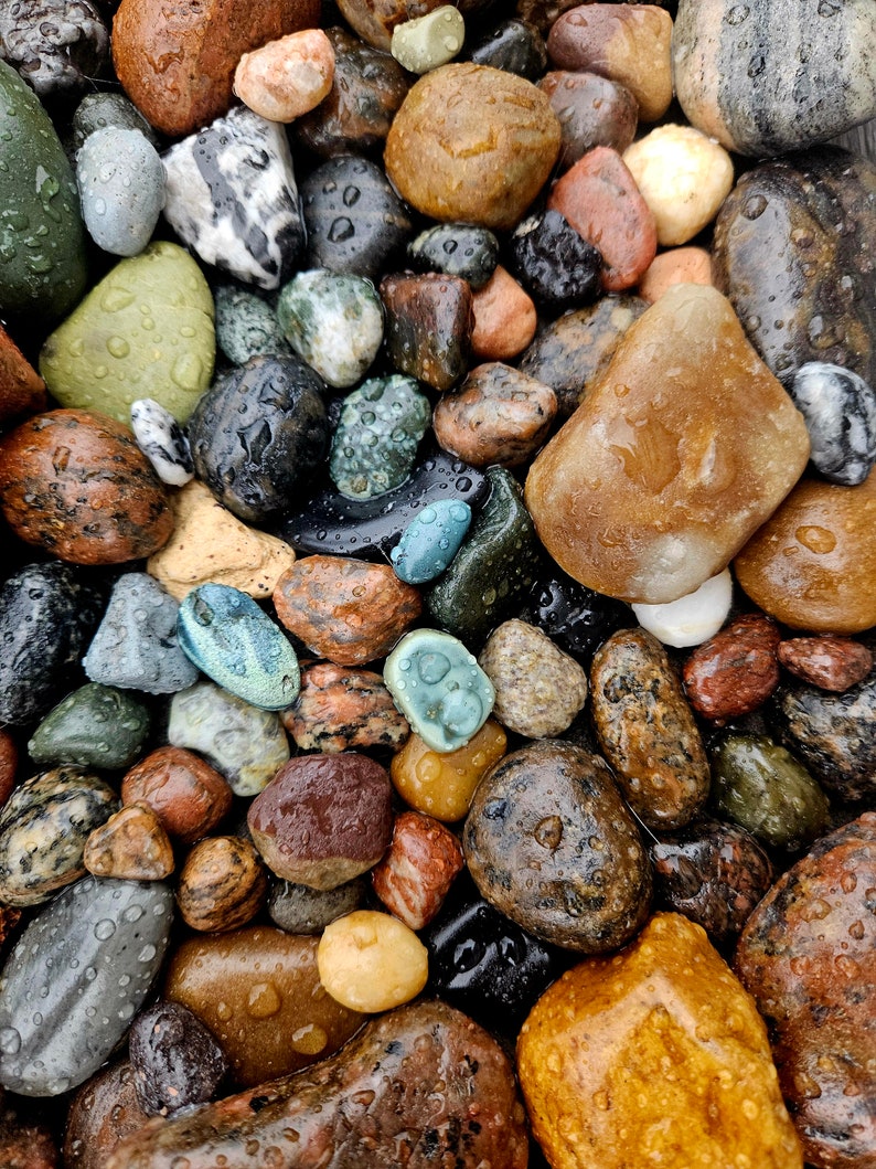 Lake Erie Stones Stepping Stone - Etsy