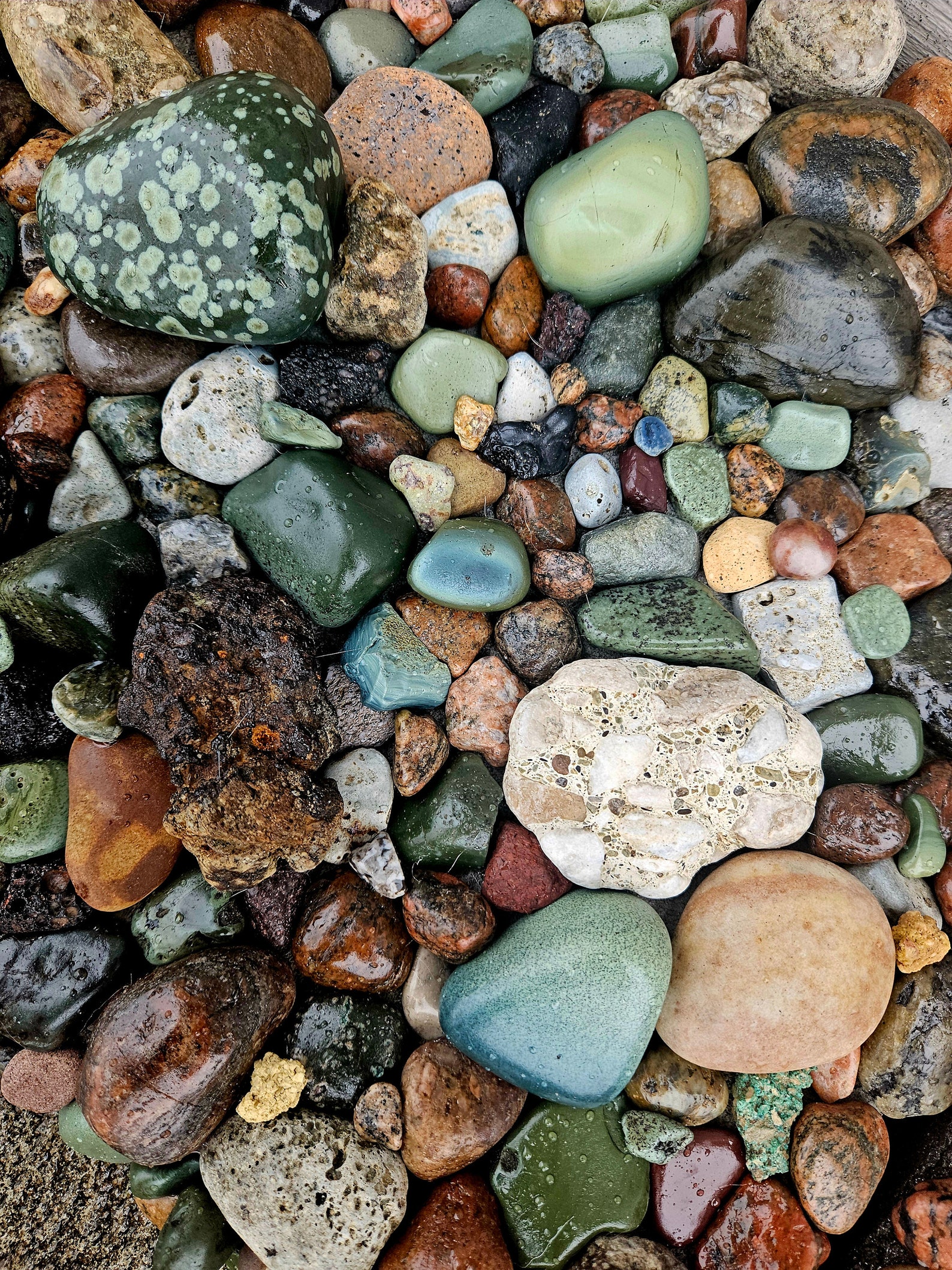 Lake Erie Stones Stepping Stone - Etsy