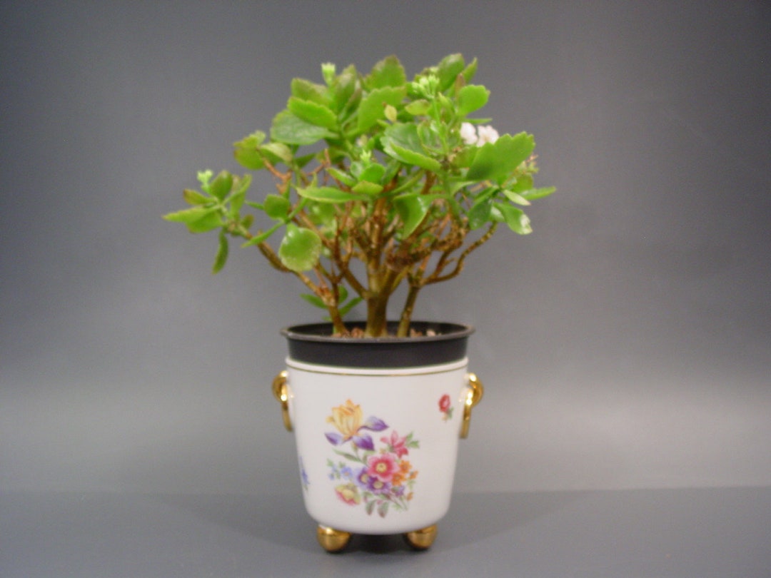 Porcelain PLANTER With Flower and 18ct Gold Decor - ILMENAU Thuringia ...