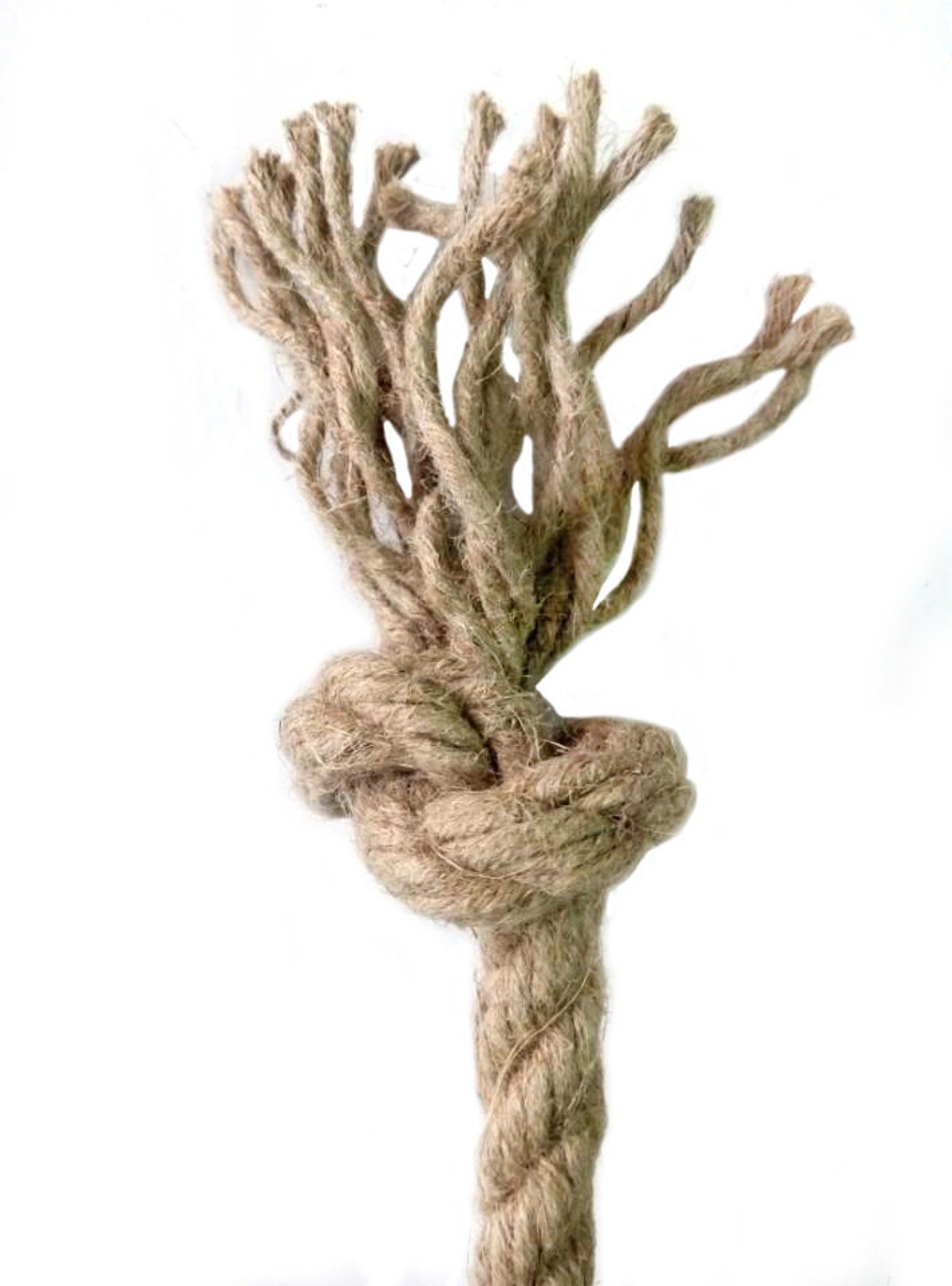 Hemp for Pets Natural DOG Toys 100% HEMP ROPE Dog Toy 20MM & - Etsy